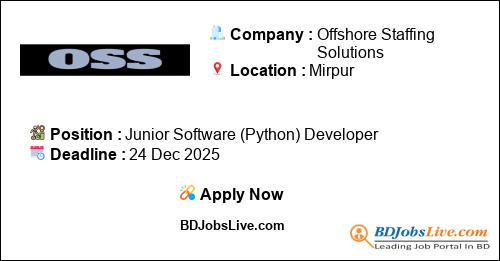 Junior Software (Python) Developer | Offshore Staffing Solutions ...